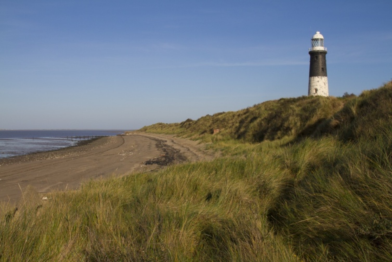 Yorkshire Coast Nature - Nature Tours, Workshops & Gallery