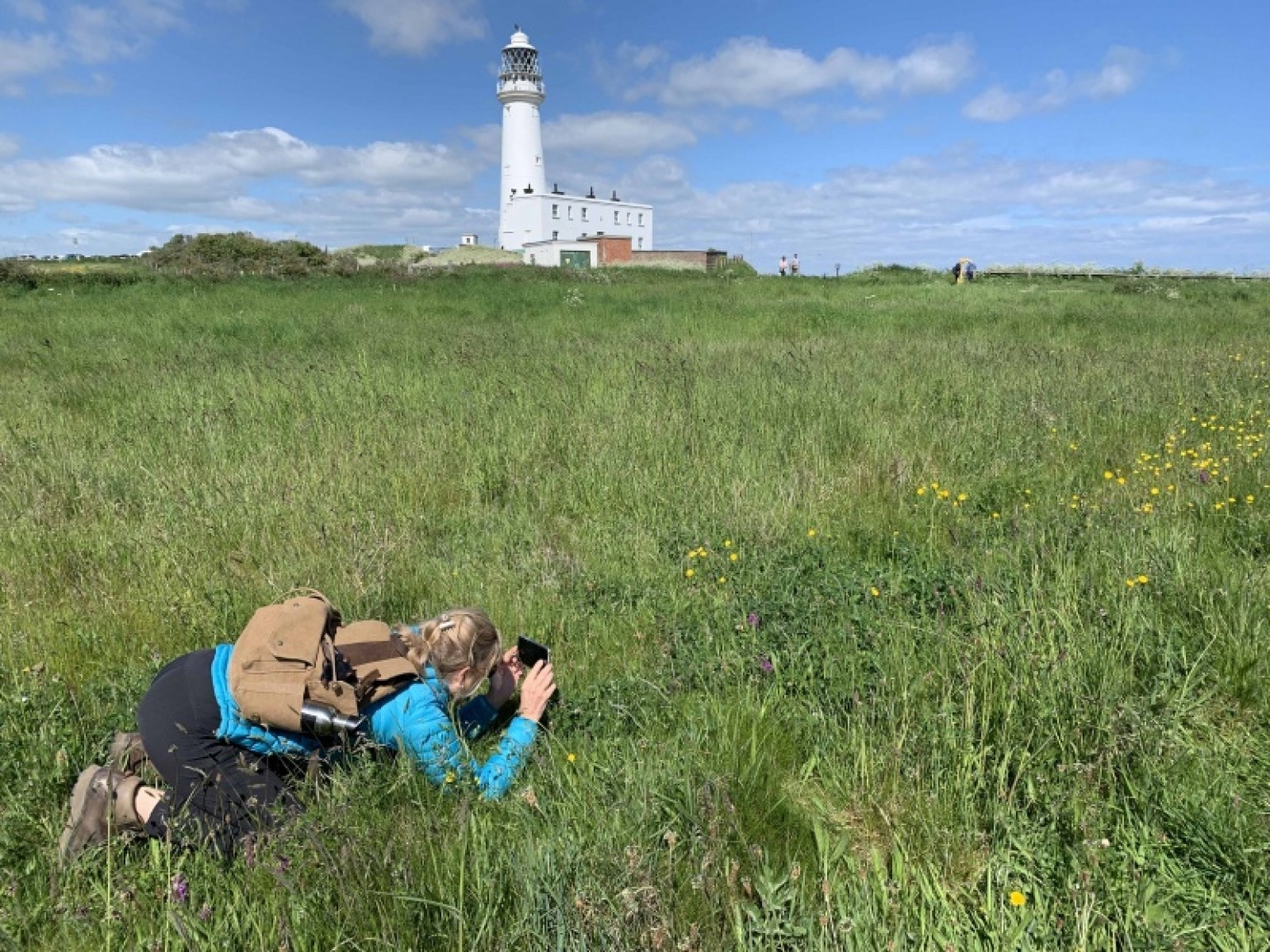 A Wonderful Year Of Flowers - Yorkshire Coast Nature