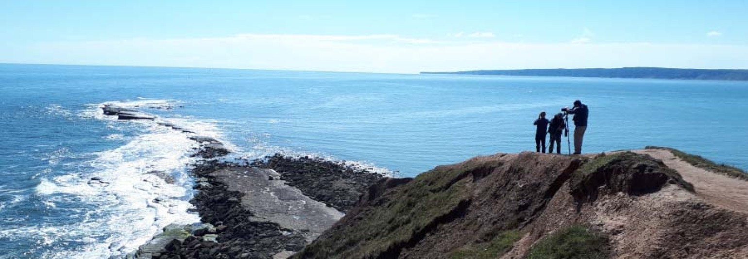 Filey Bird Observatory And Group - Yorkshire Coast Nature