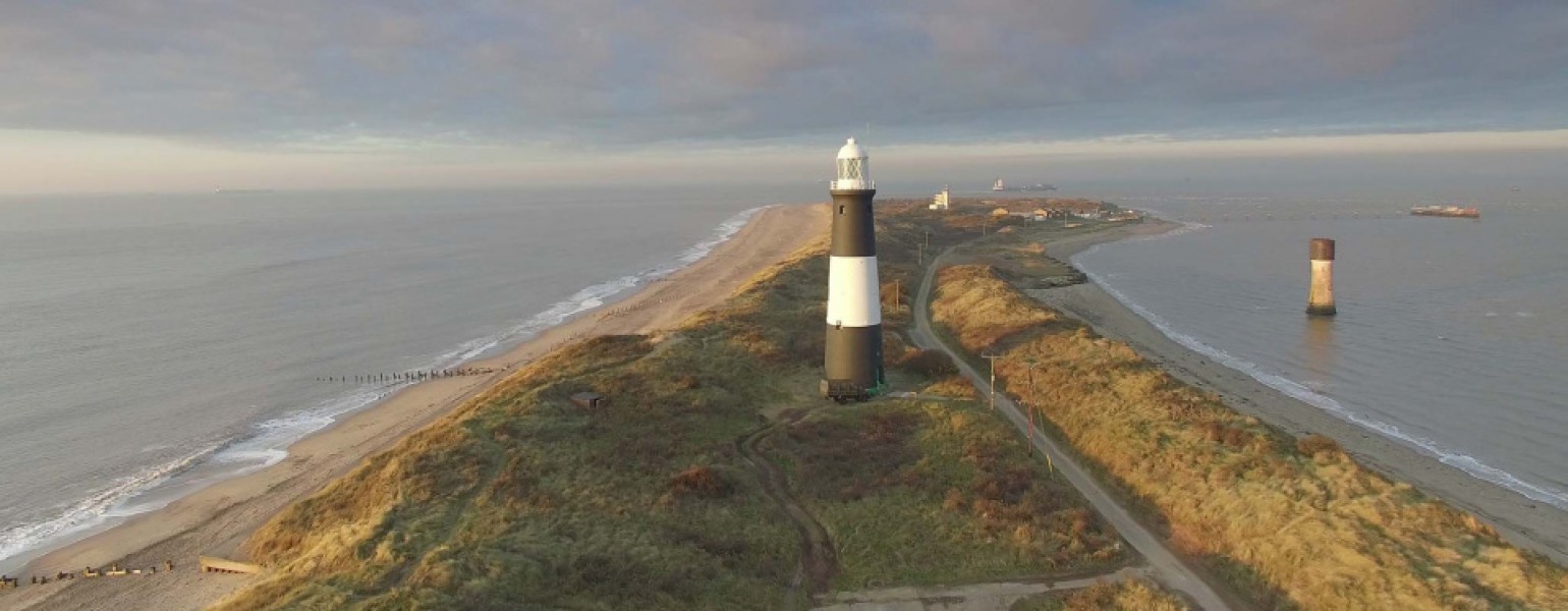 Spurn Bird Observatory - Yorkshire Coast Nature