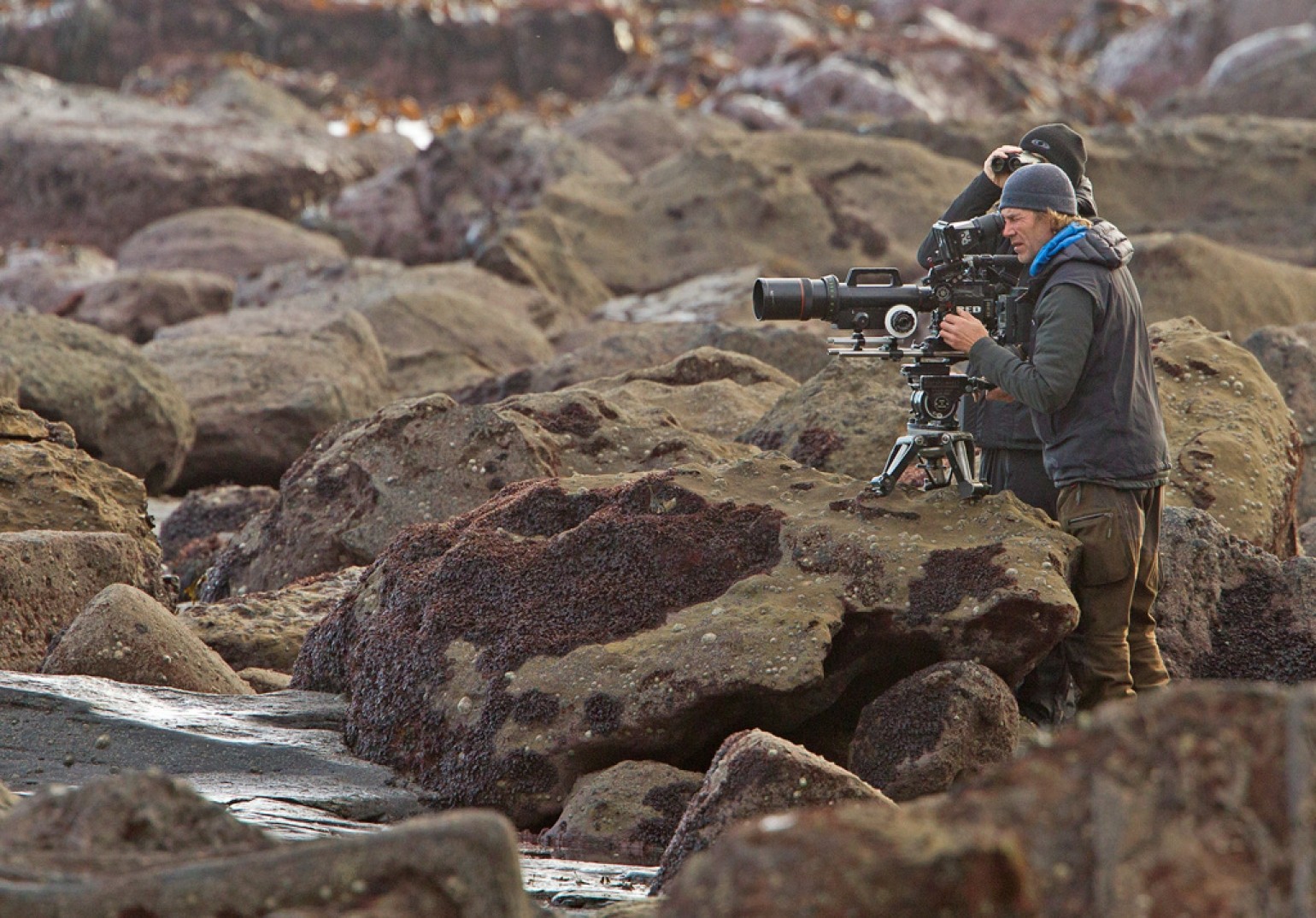 Steve Race | Tutors - Yorkshire Coast Nature