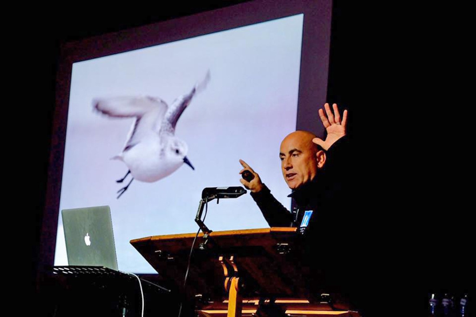 Steve Race | Tutors - Yorkshire Coast Nature