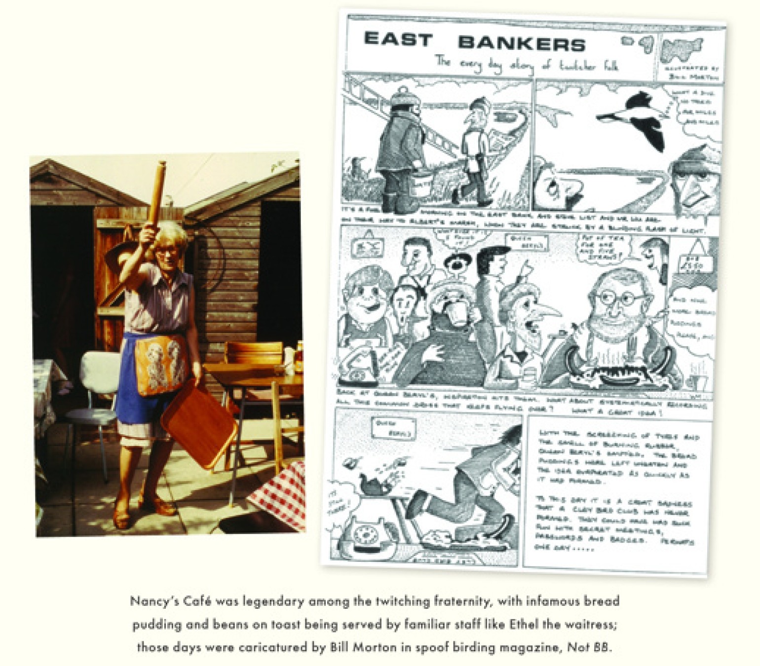 Richard Baines PGdip MCIEEM | Tutors - Yorkshire Coast Nature