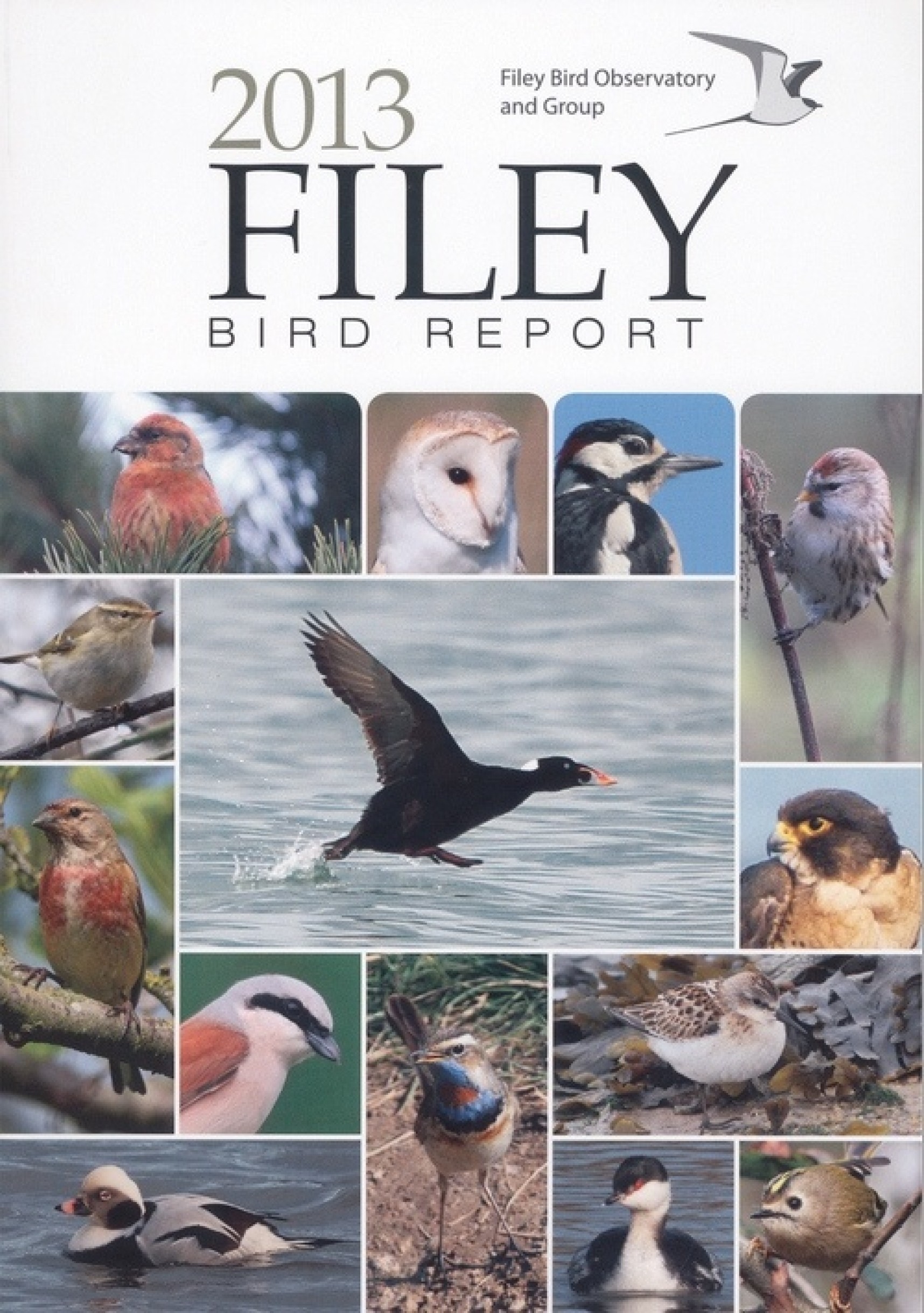 Wold Ecology And Yorkshire Coast Nature Supporting Filey Bird ...