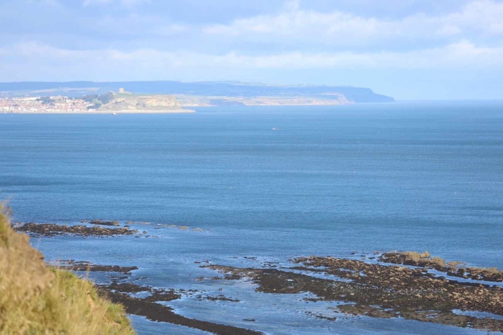 Birds Without Borders - Yorkshire Coast Nature