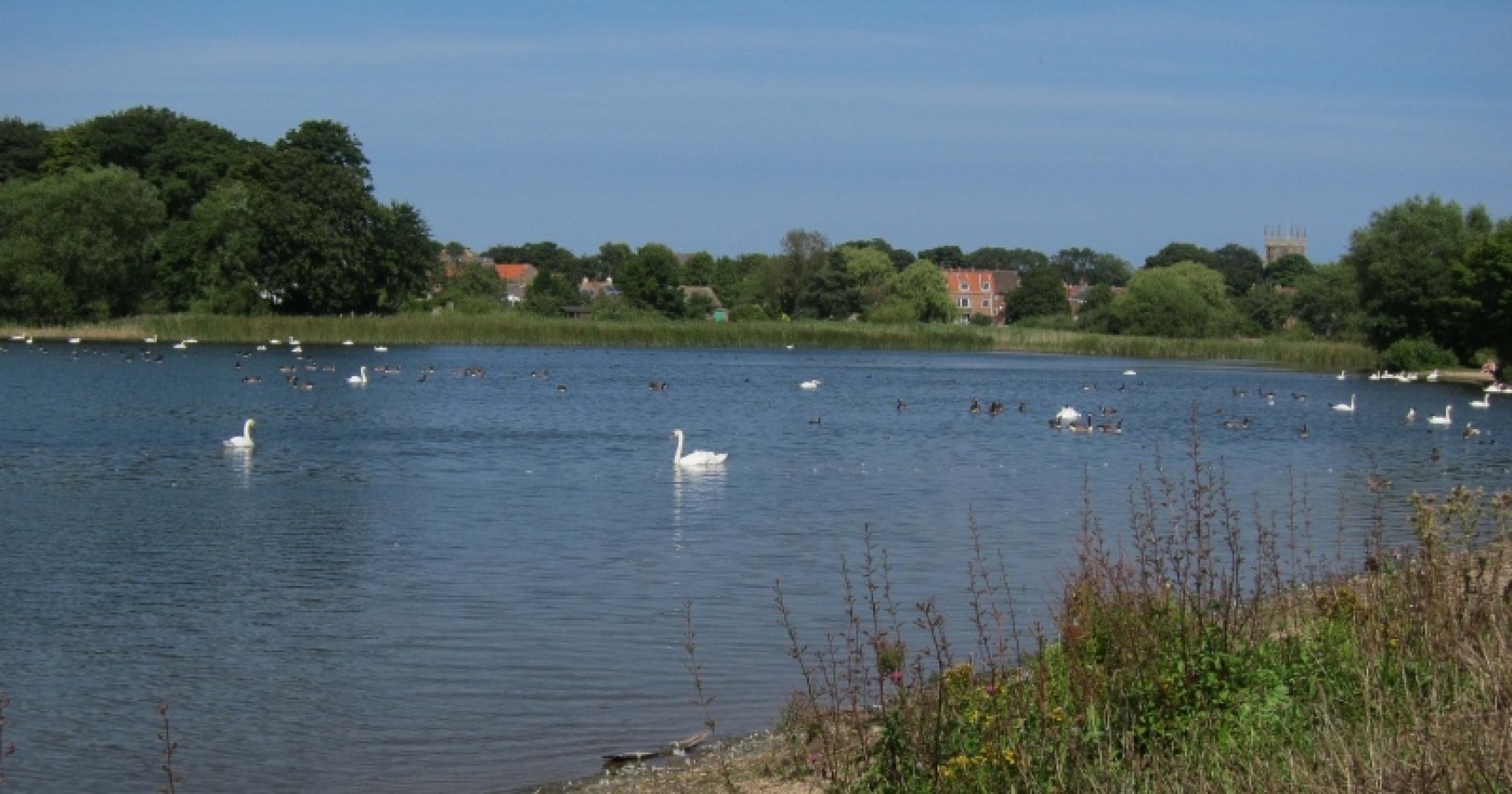 Yorkshire's Largest Freshwater Lake - Hornsea Mere - Yorkshire Coast Nature