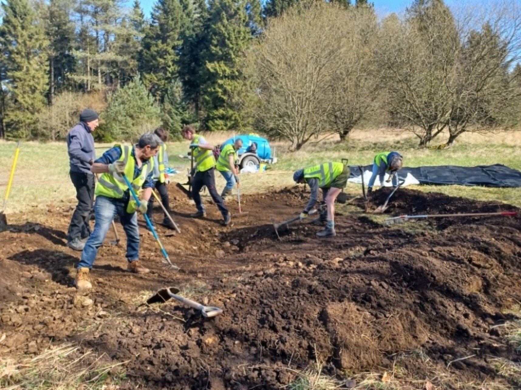 Turtle Doves Return To North Yorkshire - Yorkshire Coast Nature