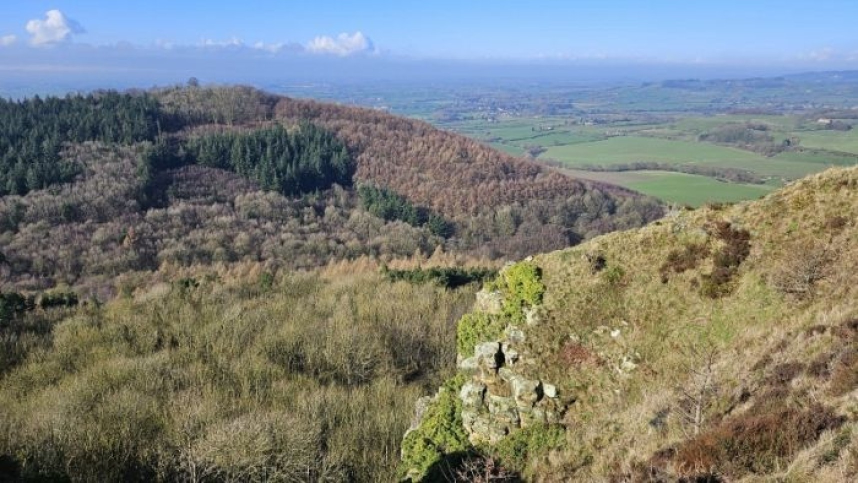 Birding The Cleveland Way – Cold Kirby To Kepwick - Yorkshire Coast Nature