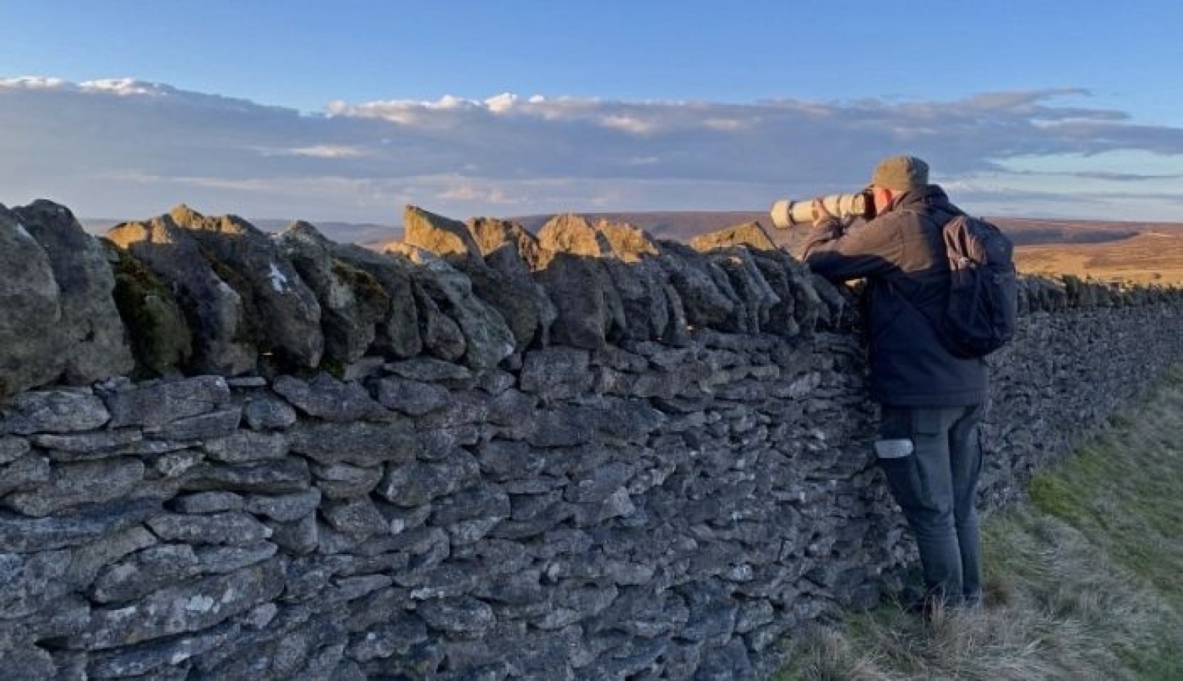 Birding The Cleveland Way – Cold Kirby To Kepwick - Yorkshire Coast Nature