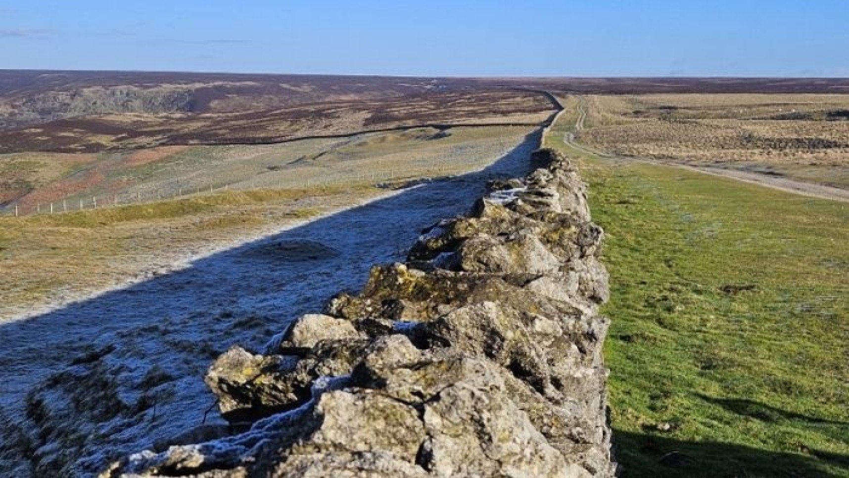 Birding The Cleveland Way – Cold Kirby To Kepwick - Yorkshire Coast Nature