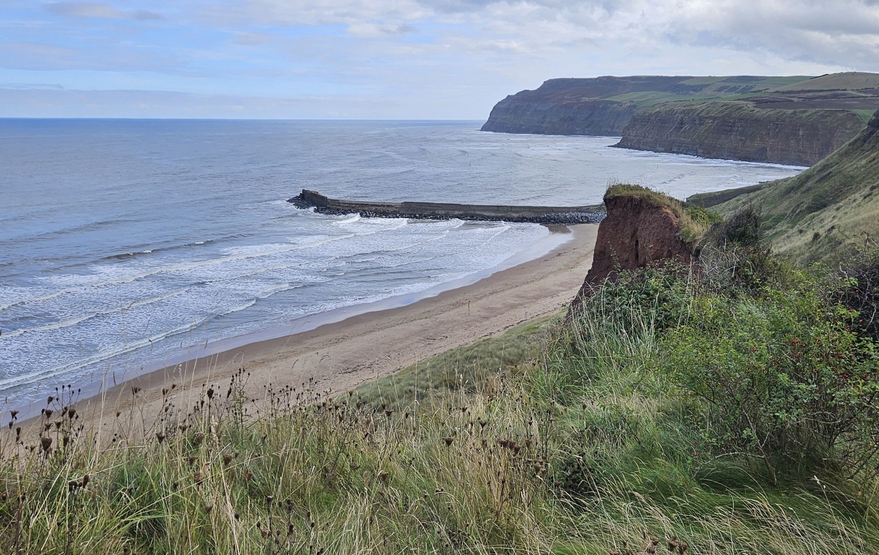 Birding The Cleveland Way – Saltburn To Staithes - Yorkshire Coast Nature