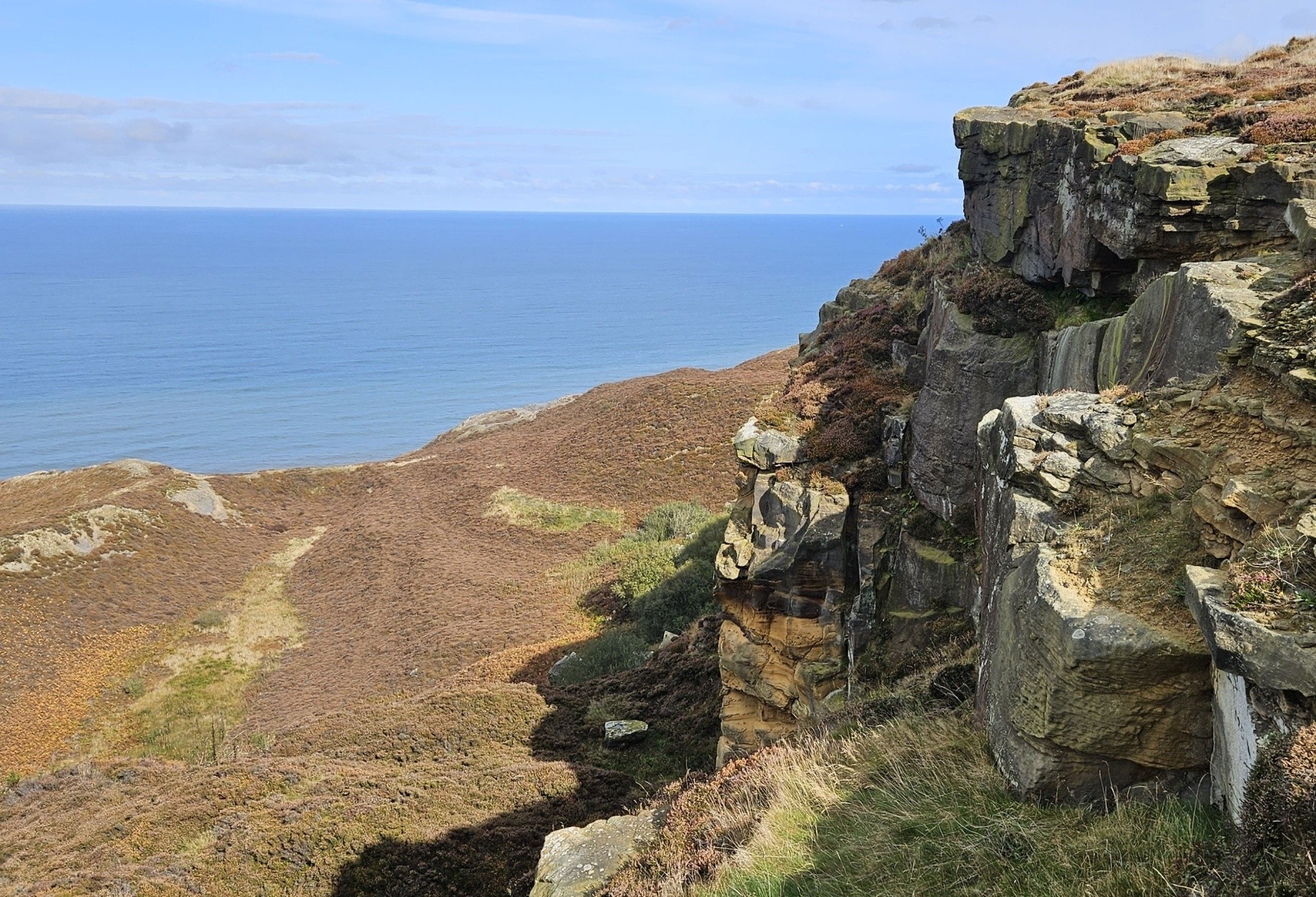 Birding The Cleveland Way – Saltburn To Staithes - Yorkshire Coast Nature