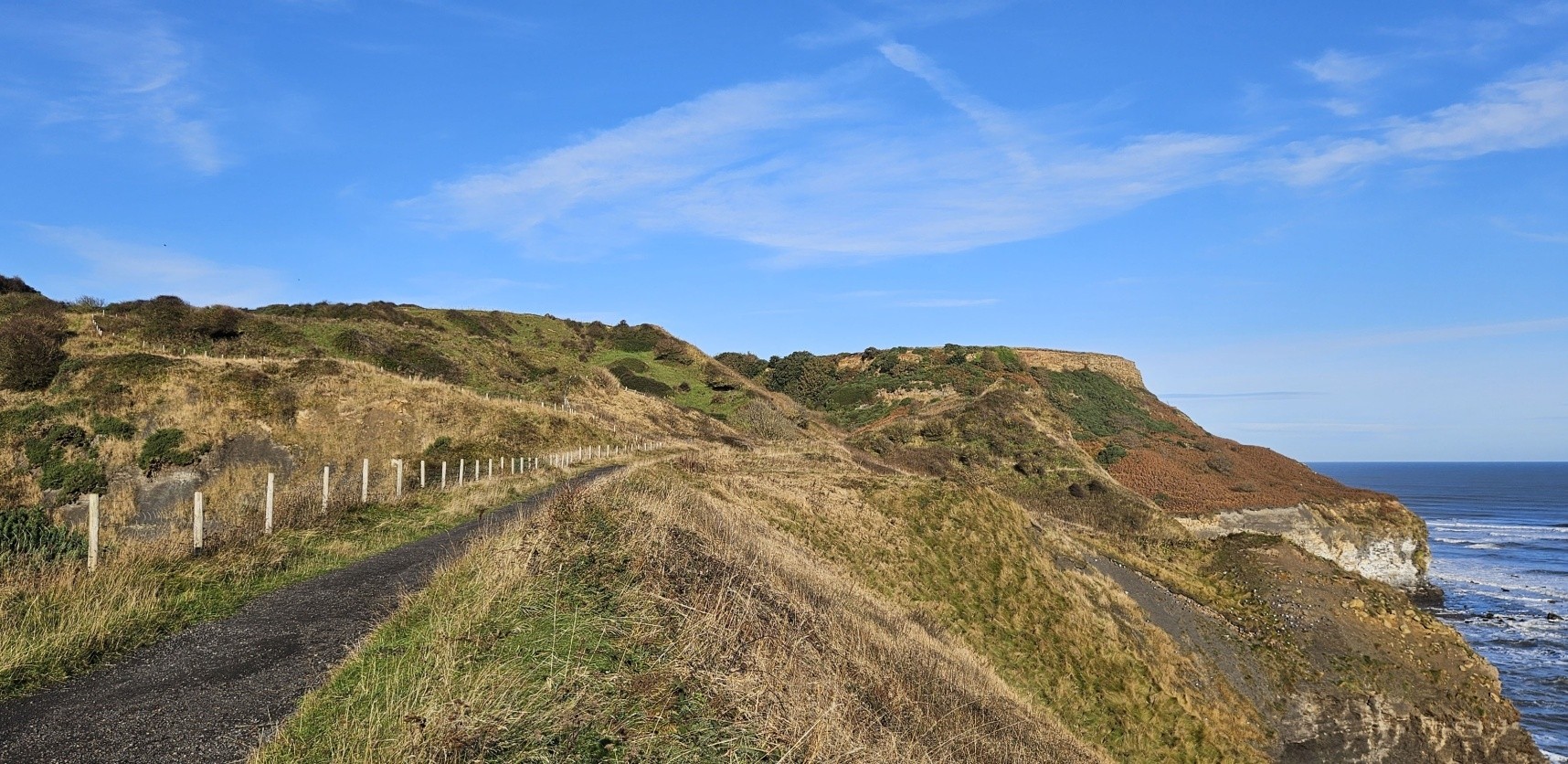 Birding The Cleveland Way – Sandsend To Staithes - Yorkshire Coast Nature