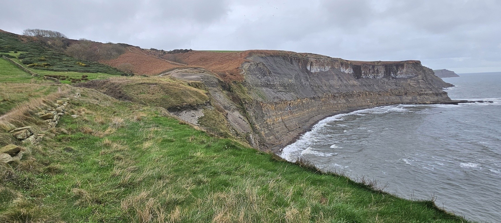 Birding The Cleveland Way – Sandsend To Robin Hoods Bay - Yorkshire Coast Nature