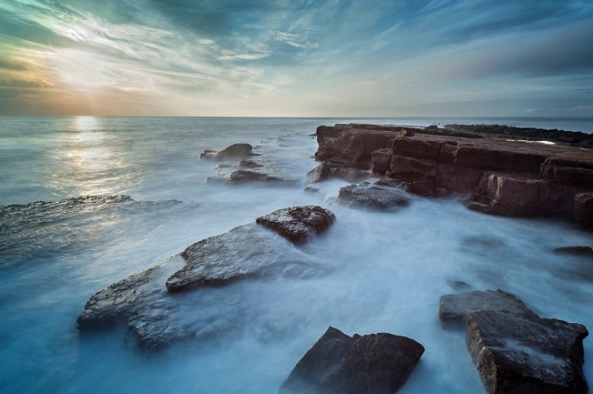 Wold Ecology And Yorkshire Coast Nature Supporting Filey Bird ...