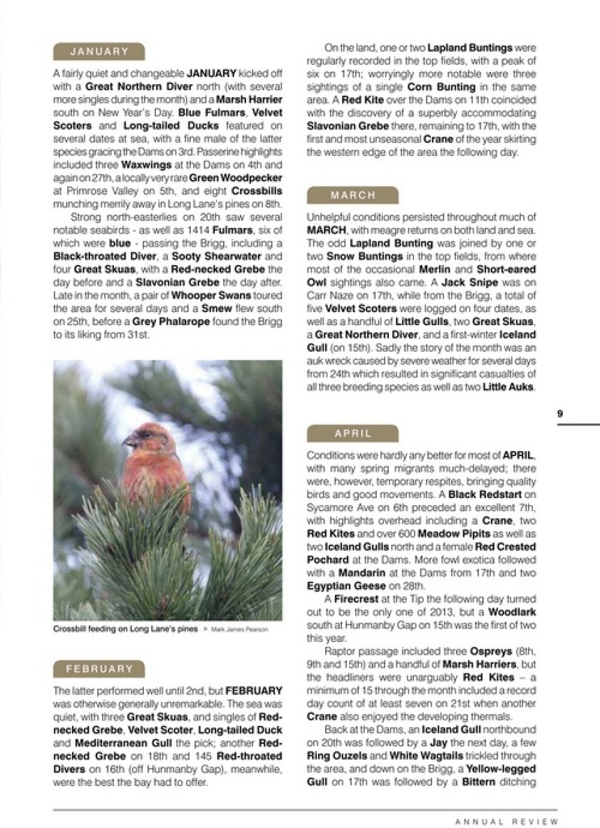 Wold Ecology And Yorkshire Coast Nature Supporting Filey Bird ...